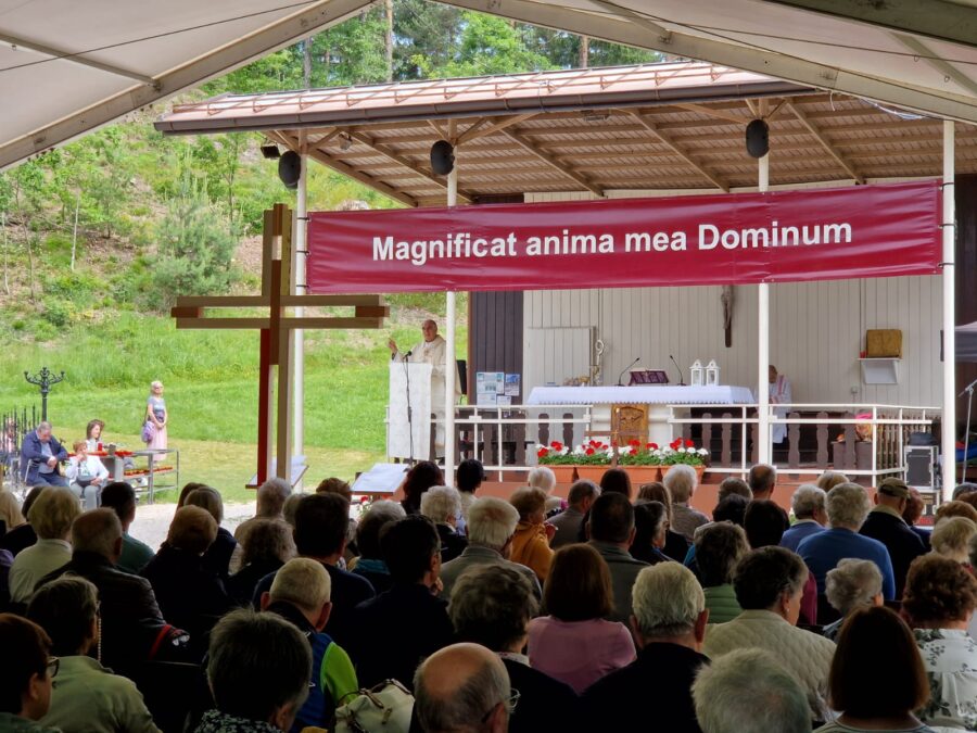 ARCIDIOCESI TRENTO * MONTAGNAGA DI PINÉ: «PELLEGRINAGGIO PER MALATI E ...