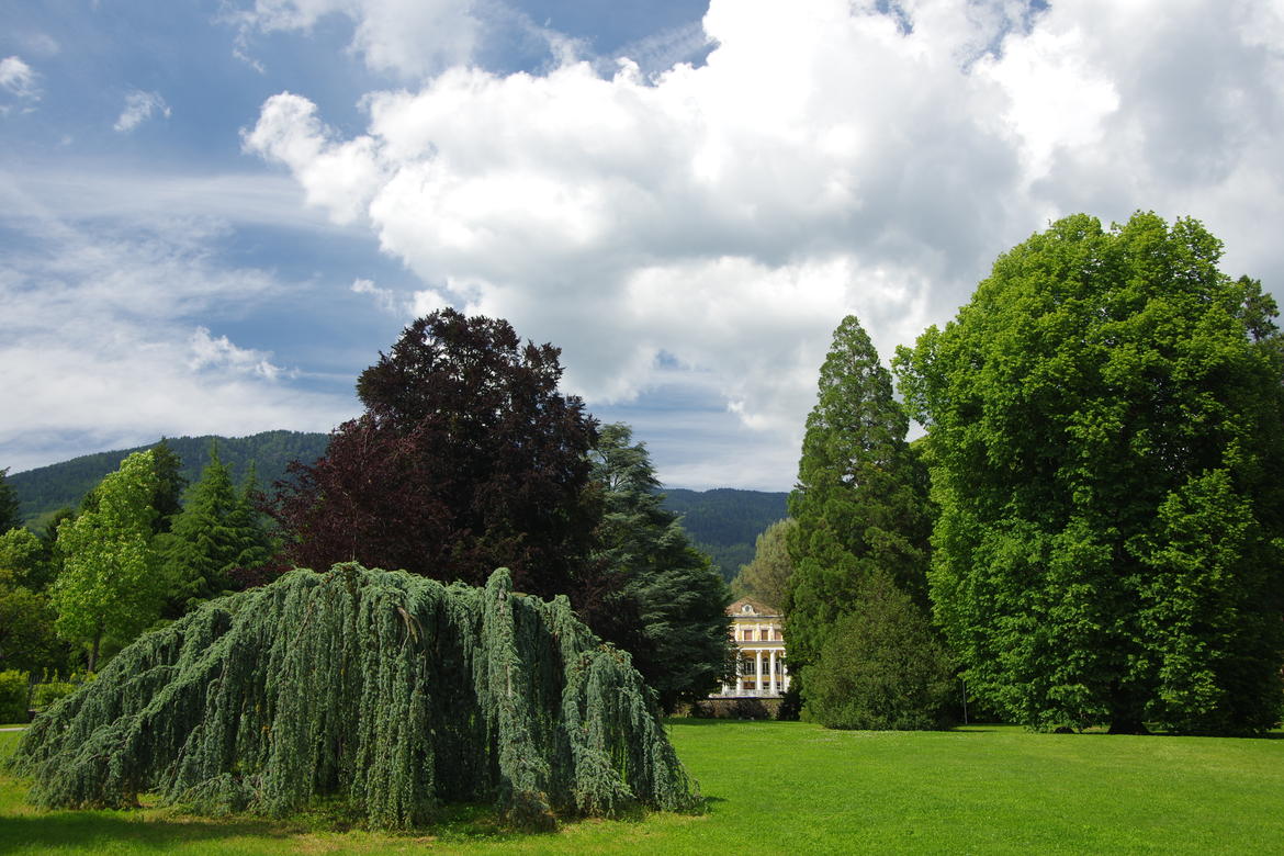 PAT * «VIVERE IL PARCO 2026 A LEVICO TERME, INIZIA LA VENTITREESIMA ...